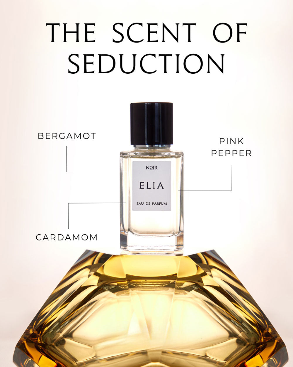 Noir Fragrance: The Ultimate Date Night Perfume | Elia Parfum
