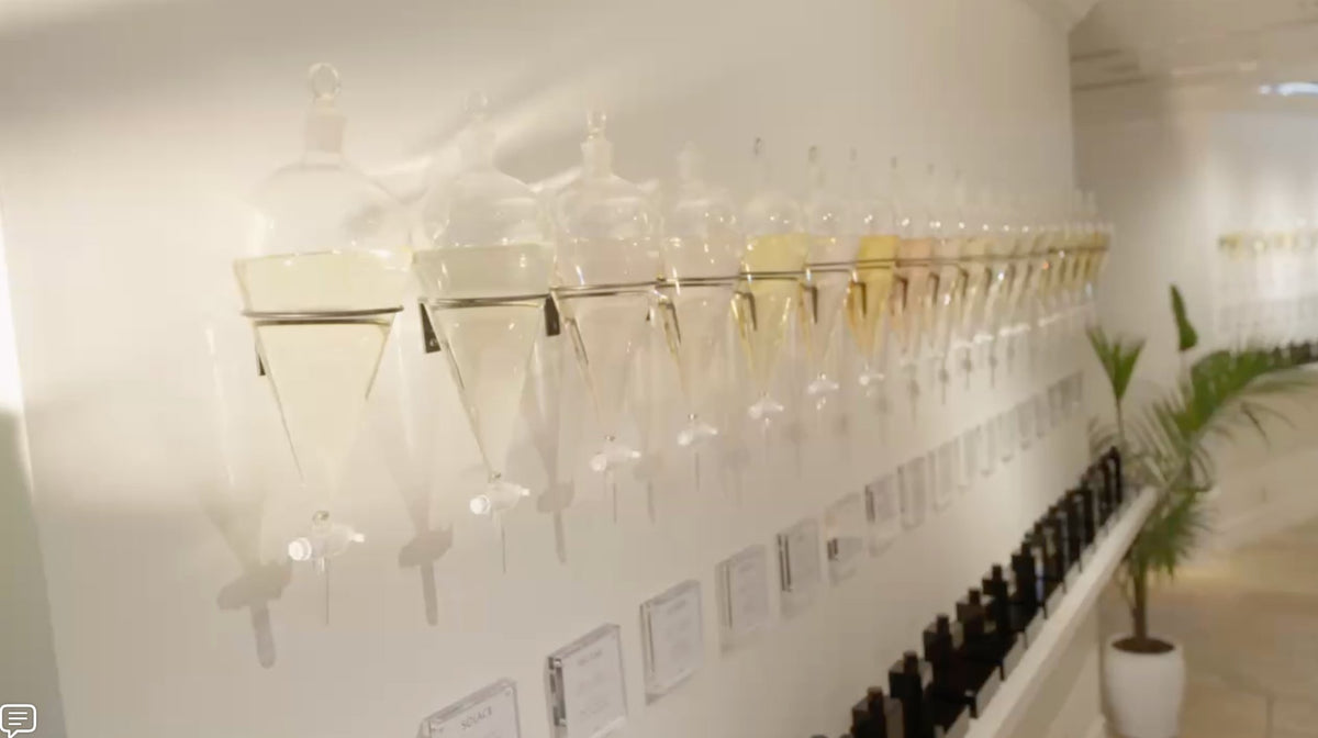 The Elia Experience– Elia Parfum